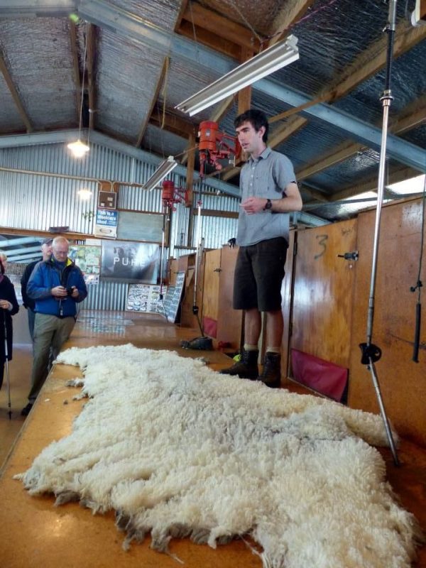 Fabric Sources: Wool